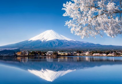 KYOTO NAGOYA FUJI 6 วัน 3 คืน - NT Travel